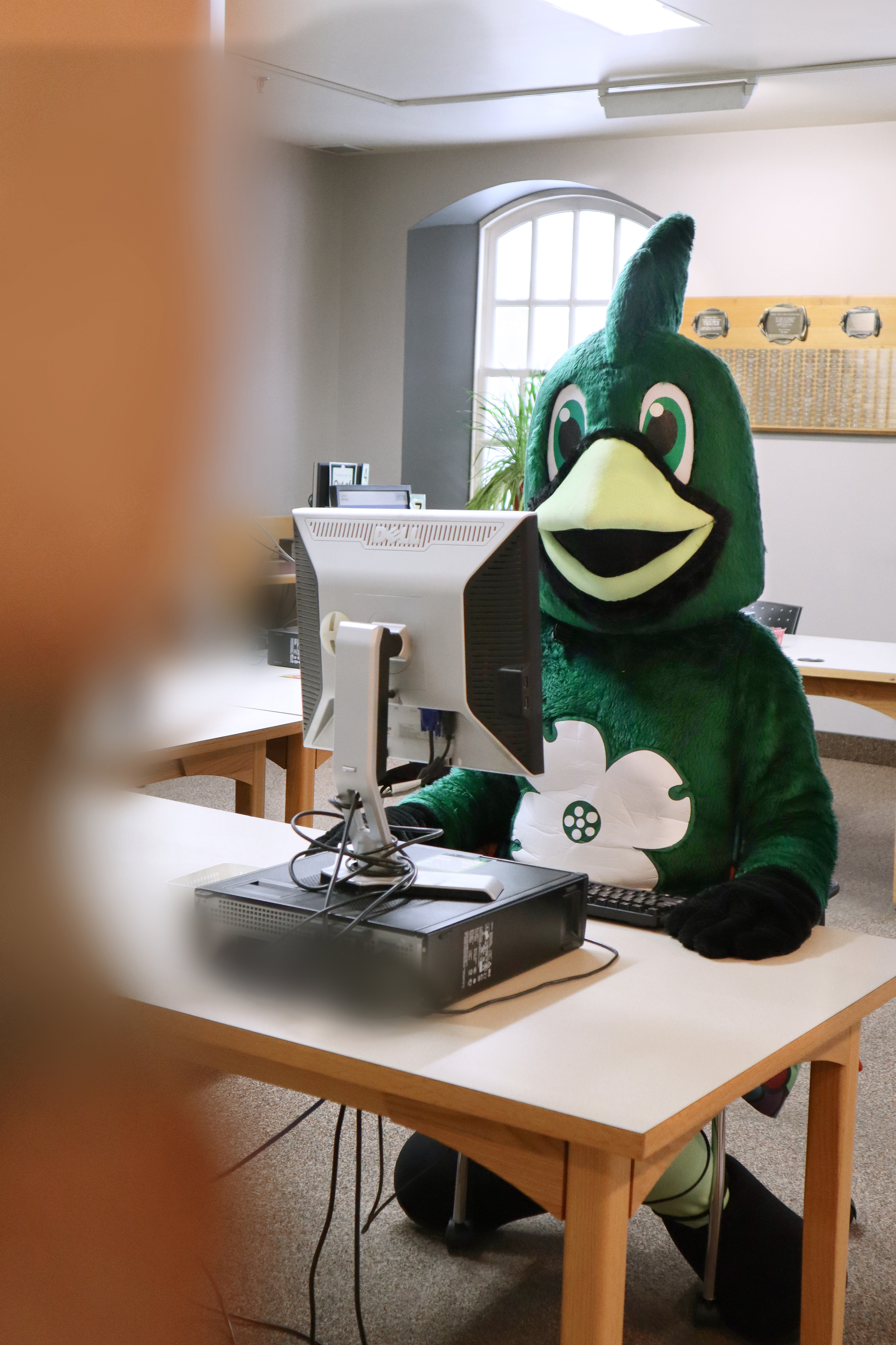 Home | Norfolk County Public Library